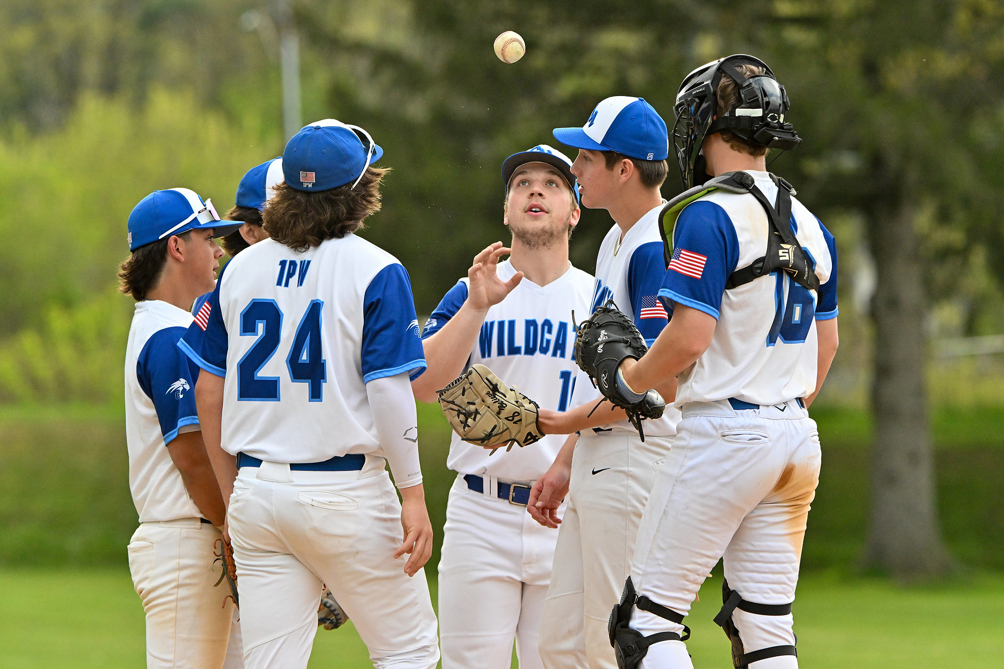 25wildcatsB | News, Sports, Jobs - The Express